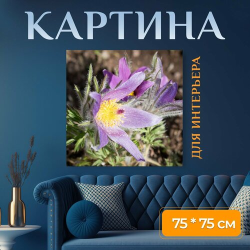 Картина на холсте "Паске цветок, цветок, природа" на подрамнике 75х75 см. для интерьера