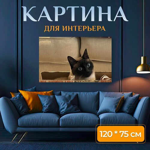 Картина на холсте "Сиамский, кошка, домашний питомец" на подрамнике 120х75 см. для интерьера