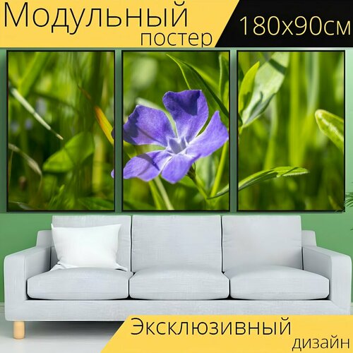 Модульный постер "Цветок, фиолетовый, природа" 180 x 90 см. для интерьера