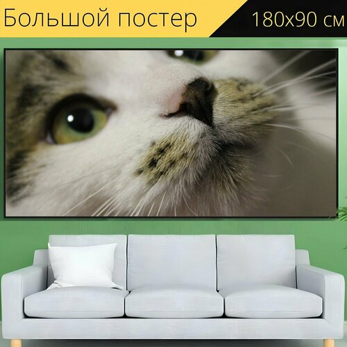 Большой постер "Кошка, милый, усы" 180 x 90 см. для интерьера