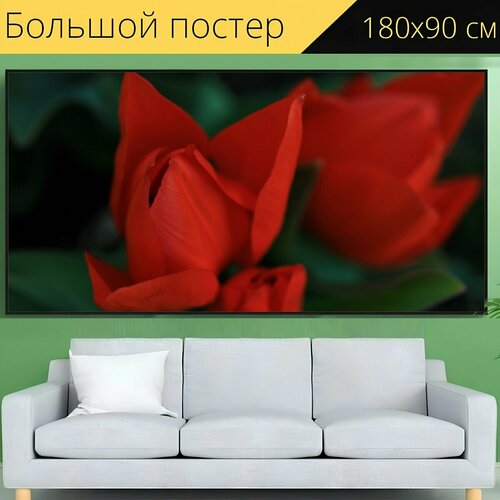 Большой постер "Тюльпаны, тюльпан, красный" 180 x 90 см. для интерьера