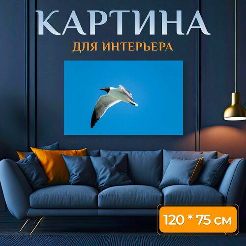 Картина на холсте "Чайка, небо, птица" на подрамнике 120х75 см. для интерьера