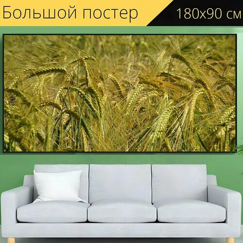 Большой постер "Пшеница, лужайка, золото" 180 x 90 см. для интерьера