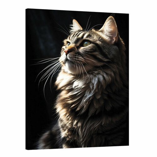 Интерьерная картина 50х70 "Мейн-кун: король кошачьего мира"