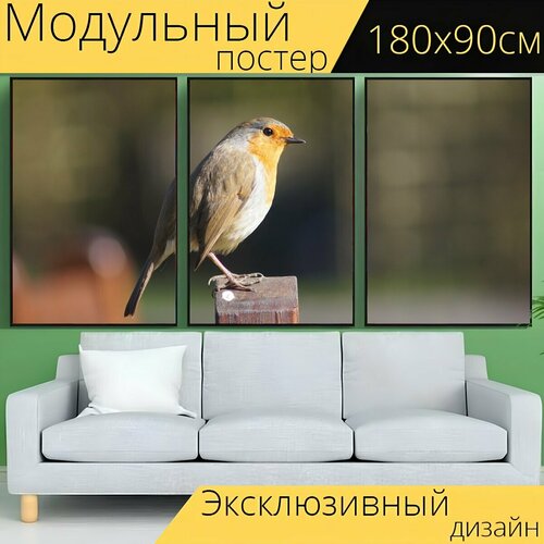 Модульный постер "Робин, птица, стул" 180 x 90 см. для интерьера