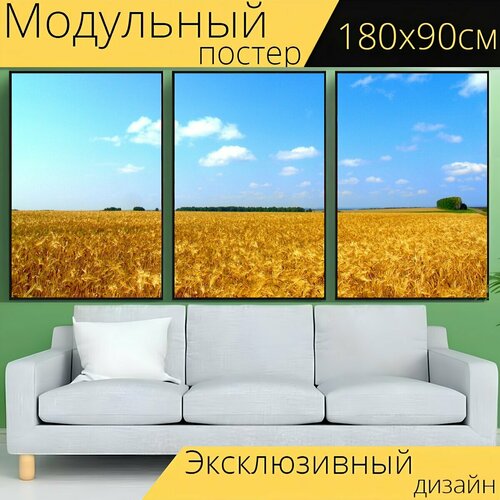 Модульный постер "Поле, пшеница, россия" 180 x 90 см. для интерьера