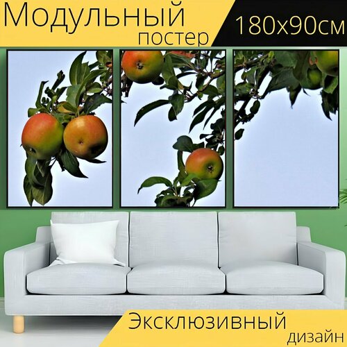 Модульный постер "Дерево, яблоня, филиал" 180 x 90 см. для интерьера