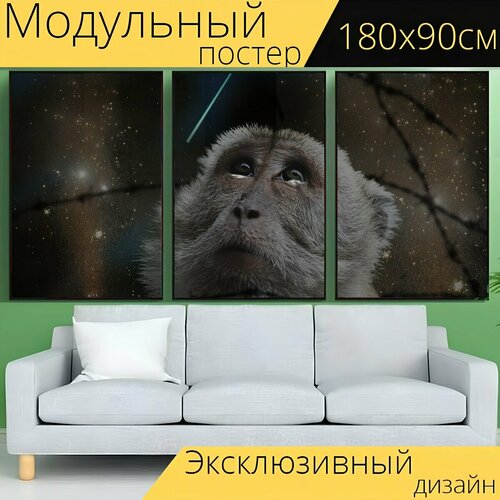 Модульный постер "Манипуляция, обезьяна, животное" 180 x 90 см. для интерьера
