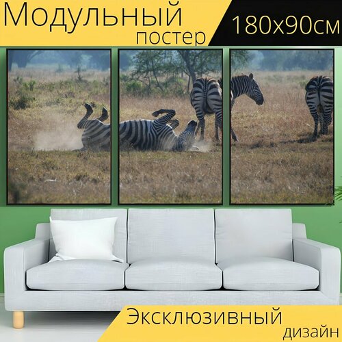 Модульный постер "Зебры, африка, сафари" 180 x 90 см. для интерьера