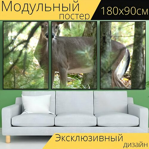 Модульный постер "Олень, лес, природа" 180 x 90 см. для интерьера