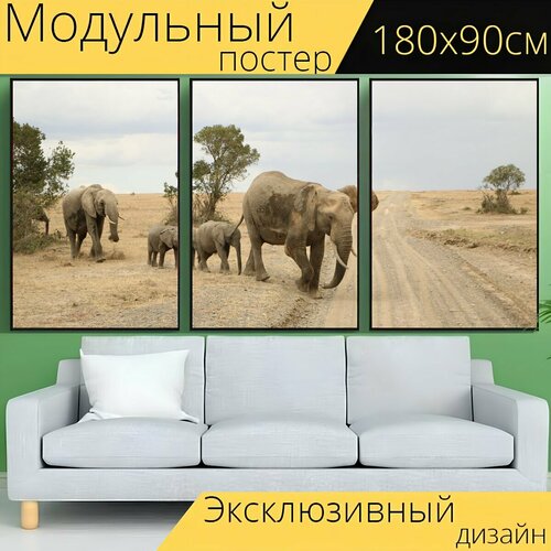 Модульный постер "Слон, природа, млекопитающее" 180 x 90 см. для интерьера