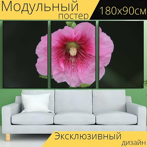 Модульный постер "Цветок, летом, летний цветок" 180 x 90 см. для интерьера