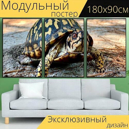 Модульный постер "Черепаха, природа, рептилия" 180 x 90 см. для интерьера
