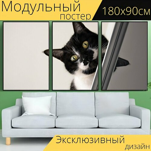 Модульный постер "Кот, черный белый, кот над предметом мебели" 180 x 90 см. для интерьера