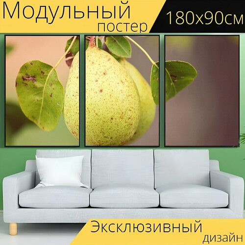 Модульный постер "Груша, фрукты, пирс" 180 x 90 см. для интерьера