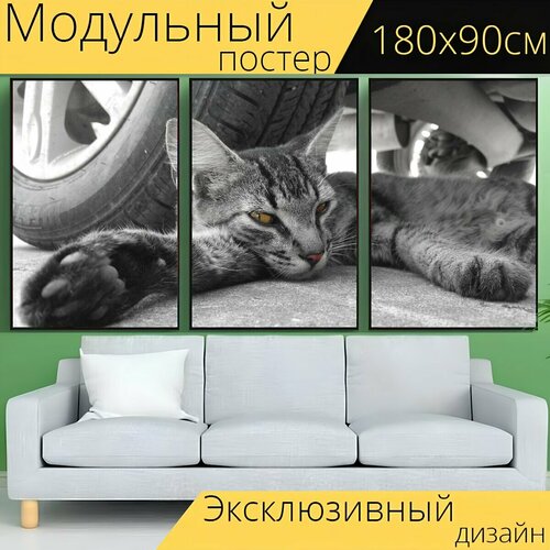 Модульный постер "Кошка, домашний питомец, животное" 180 x 90 см. для интерьера