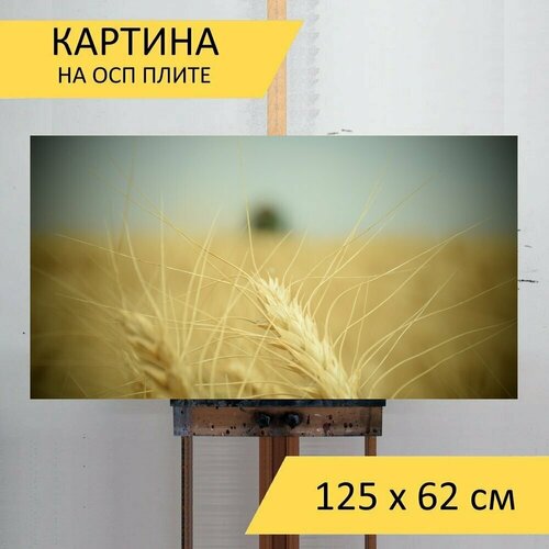 Картина на ОСП 125х62 см. "Пшеница, урожай, кукуруза" горизонтальная, для интерьера, с креплениями