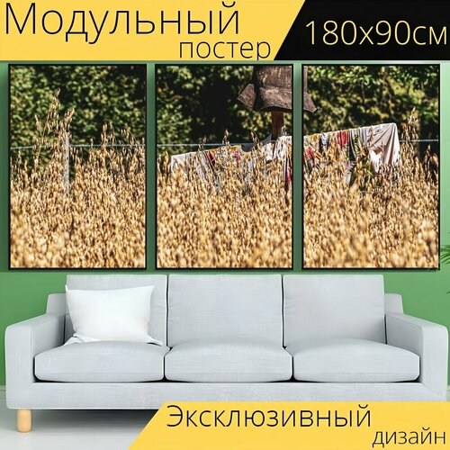 Модульный постер "Овес, зерно, сельское хозяйство" 180 x 90 см. для интерьера