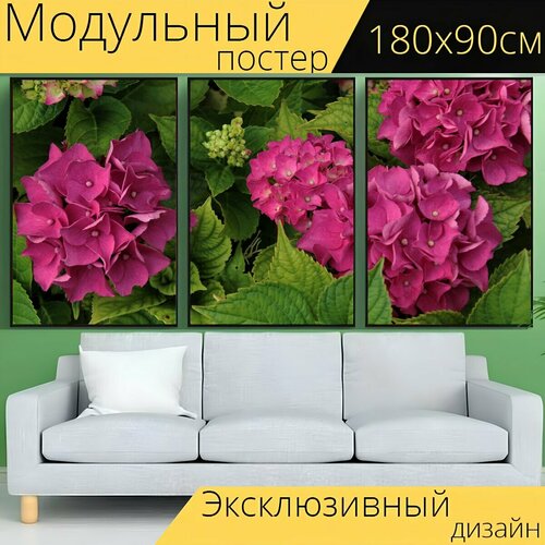 Модульный постер "Буш, цветы гортензии, растения" 180 x 90 см. для интерьера
