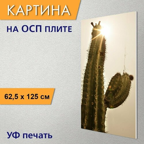 Вертикальная картина на ОСП "Кактус, солнце, пустыня" 62x125 см. для интерьериа