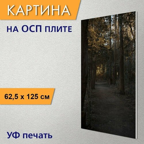 Вертикальная картина на ОСП "Тащить, лес, деревья" 62x125 см. для интерьериа