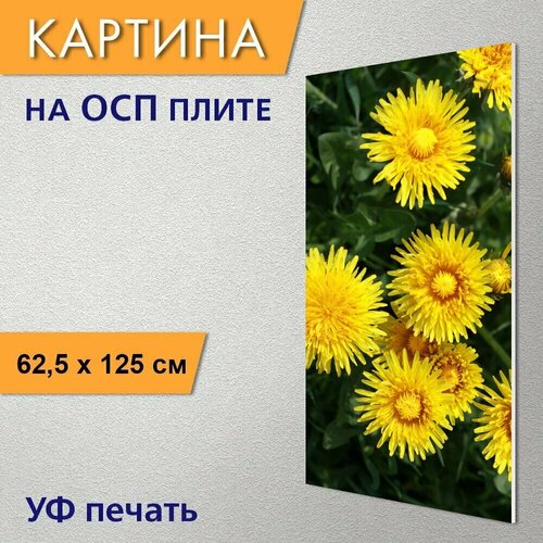 Вертикальная картина на ОСП "Трава, цветок, природа" 62x125 см. для интерьериа