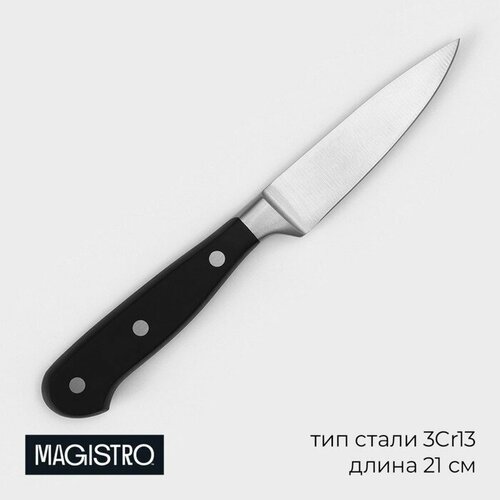 Magistro Нож для овощей кухонный Magistro Fedelaso, длина лезвия 8,9 см