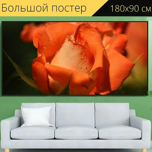 Большой постер "Роза, оранжевый, цвет" 180 x 90 см. для интерьера