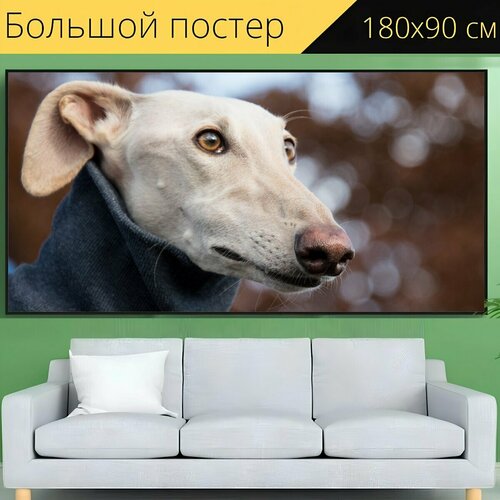 Большой постер "Борзая, собака, домашний питомец" 180 x 90 см. для интерьера