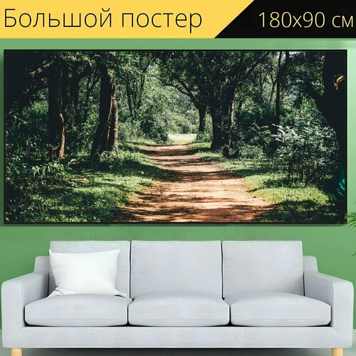 Большой постер "Дороги, деревья, лес" 180 x 90 см. для интерьера