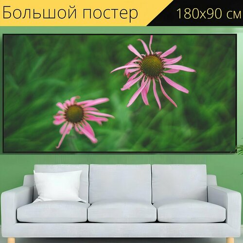 Большой постер "Розовые цветы, цветочная пыльца, цветы" 180 x 90 см. для интерьера
