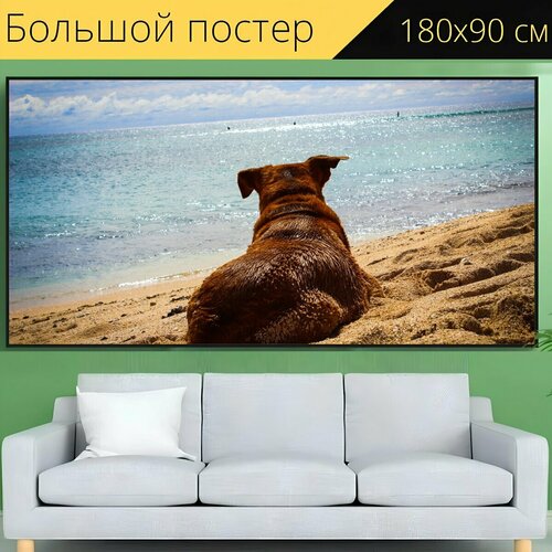 Большой постер "Собака, пляж, песок" 180 x 90 см. для интерьера