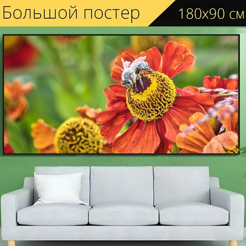 Большой постер "Пчела, цветок, цвести" 180 x 90 см. для интерьера