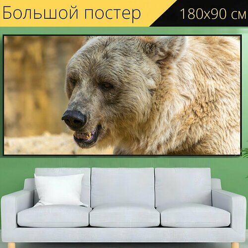Большой постер "Нести, бурый медведь, млекопитающее" 180 x 90 см. для интерьера