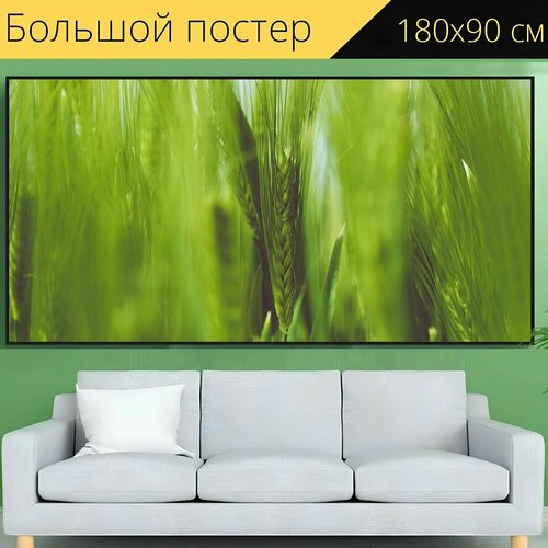 Большой постер "Крупный план, зерно, трава" 180 x 90 см. для интерьера