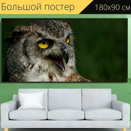 Большой постер "Уху, сова, птица" 180 x 90 см. для интерьера