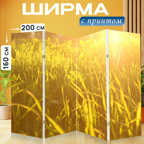 Ширма перегородка с принтом "Трава, луг, солнечный свет" на холсте - 200x160 см. для зонирования, раскладная