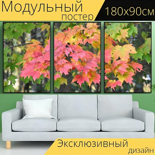 Модульный постер "Падение, осень, листья" 180 x 90 см. для интерьера