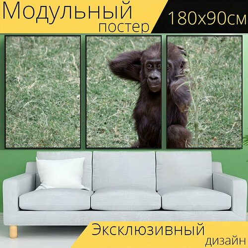 Модульный постер "Горилла, обезьяны, горилла мать" 180 x 90 см. для интерьера