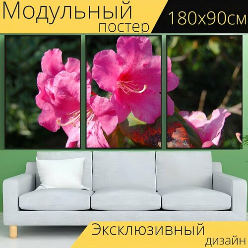 Модульный постер "Рододендрон, цветок, розовый" 180 x 90 см. для интерьера