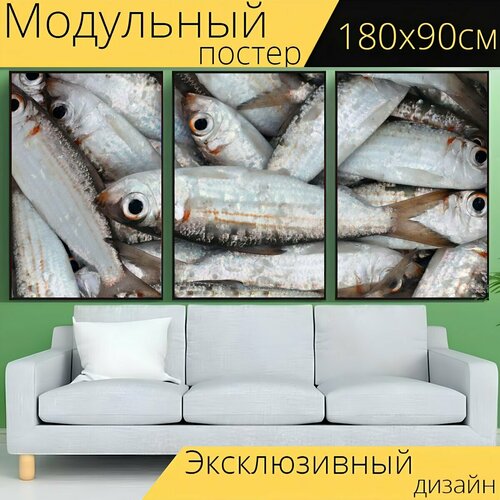 Модульный постер "Рыбы, поймать, ловит рыбу" 180 x 90 см. для интерьера