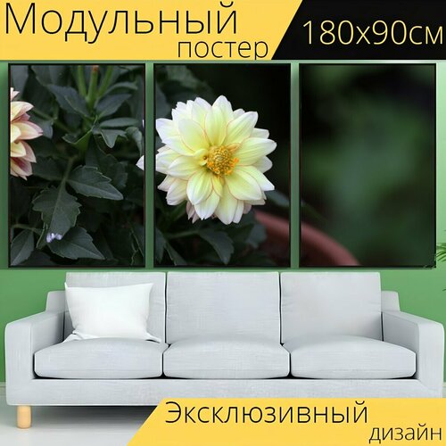 Модульный постер "Цветок, блум, сад" 180 x 90 см. для интерьера
