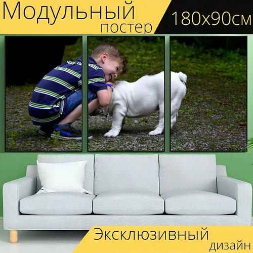 Модульный постер "Собака, мальчик, ребенок" 180 x 90 см. для интерьера