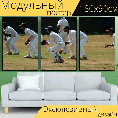 Модульный постер "Промахи, калитки, крикет" 180 x 90 см. для интерьера