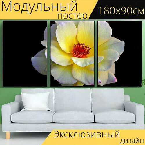 Модульный постер "Роуз, цветок, салон красоты" 180 x 90 см. для интерьера