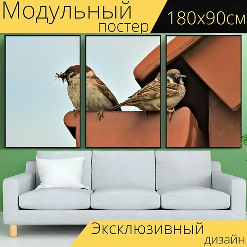 Модульный постер "Воробьи, родители, кормление" 180 x 90 см. для интерьера