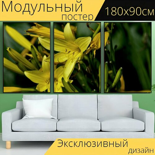 Модульный постер "Лилейник, желтый, сад" 180 x 90 см. для интерьера