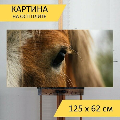 Картина на ОСП 125х62 см. "Лошадь, глаз, закрыть" горизонтальная, для интерьера, с креплениями