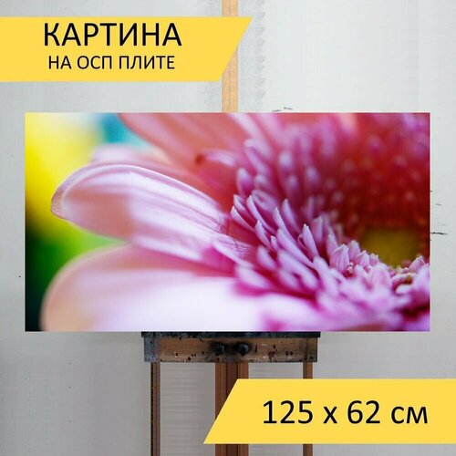 Картина на ОСП 125х62 см. "Цветок, макрос, весна" горизонтальная, для интерьера, с креплениями