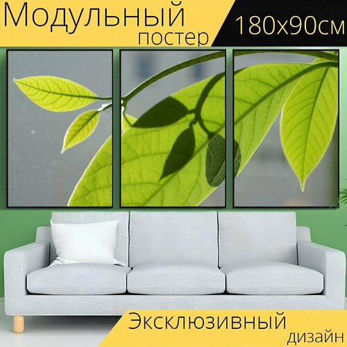 Модульный постер "Листья, зеленый, манго" 180 x 90 см. для интерьера